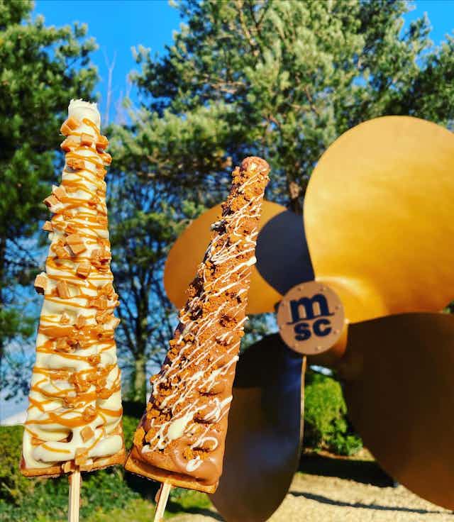 Waffle Wands - Waffles on a Stick - Book on Togather