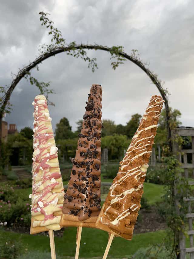 Waffle Wands - Waffles on a Stick - Book on Togather